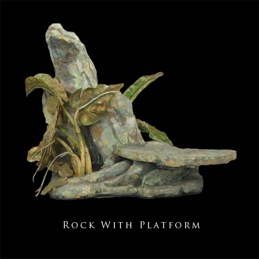 Rock with Platform
